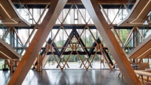 Scion Innovation Hub New Zealand: Strength lies in the triangle - THE ...