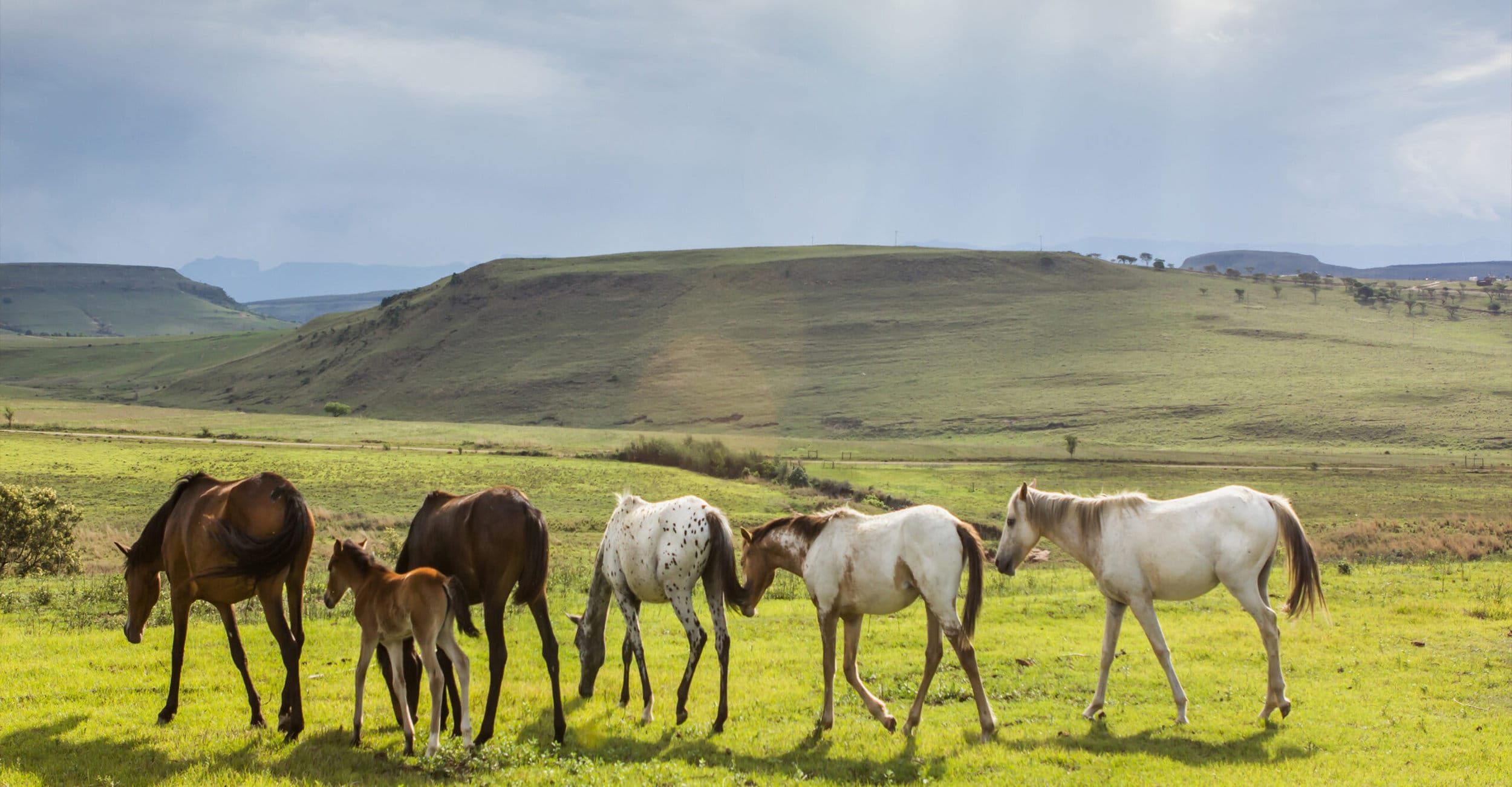 Antbear Eco Lodge: Where sustainability meets luxury - THE Stylemate
