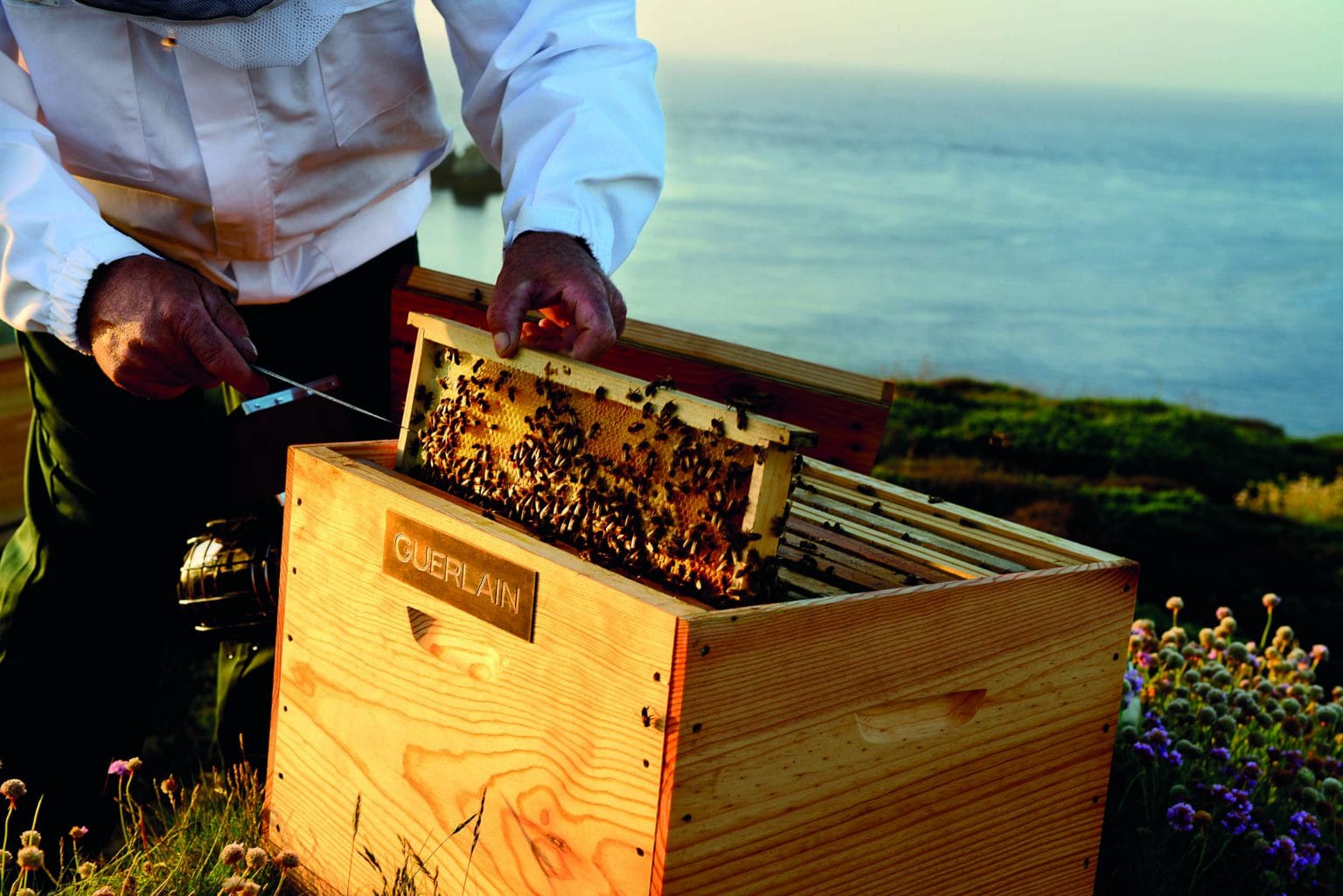 WORLD BEE DAY: Guerlain "For Bees Conservation Programme" - THE Stylemate