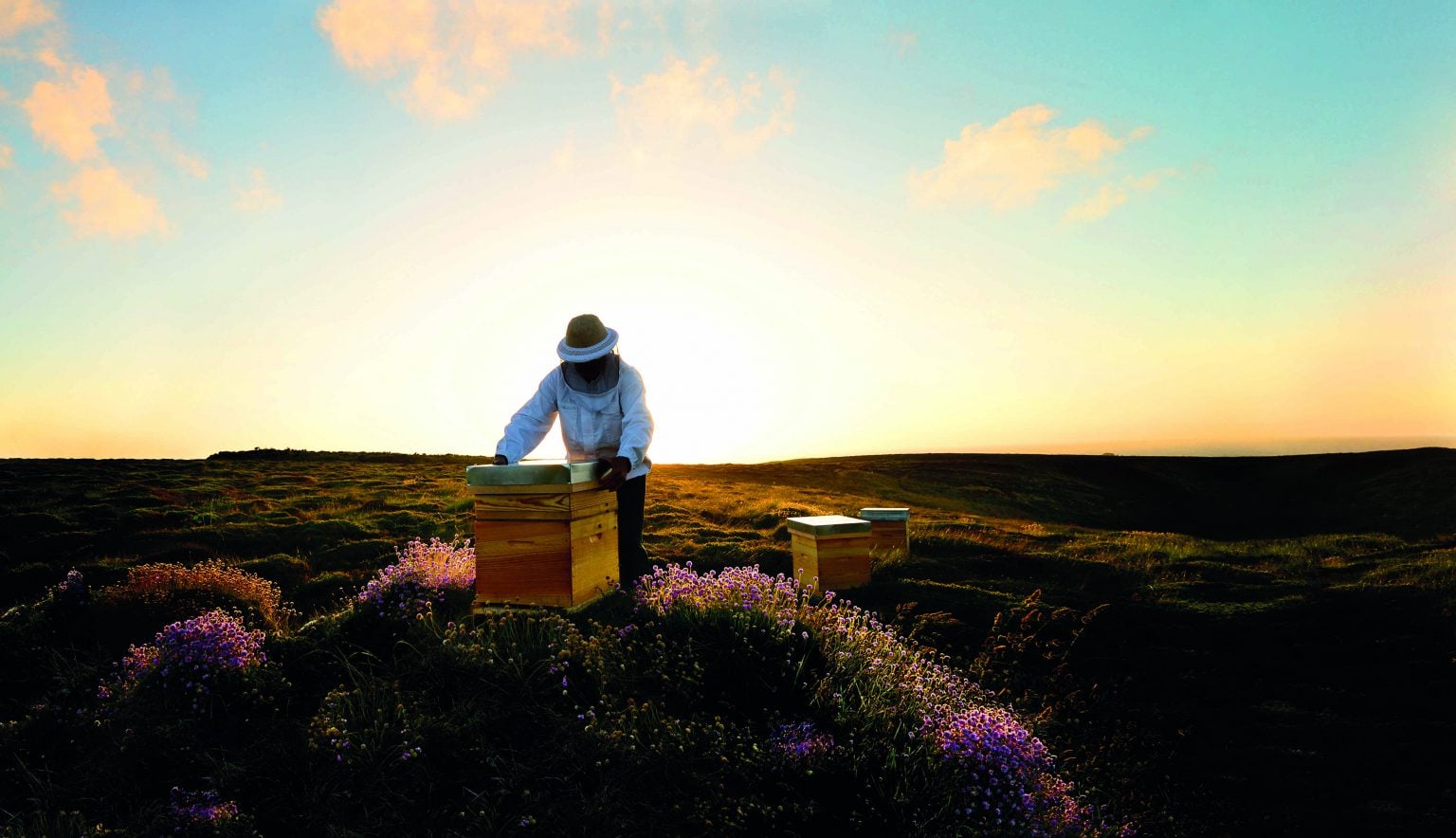 WORLD BEE DAY: Guerlain "For Bees Conservation Programme" - THE Stylemate