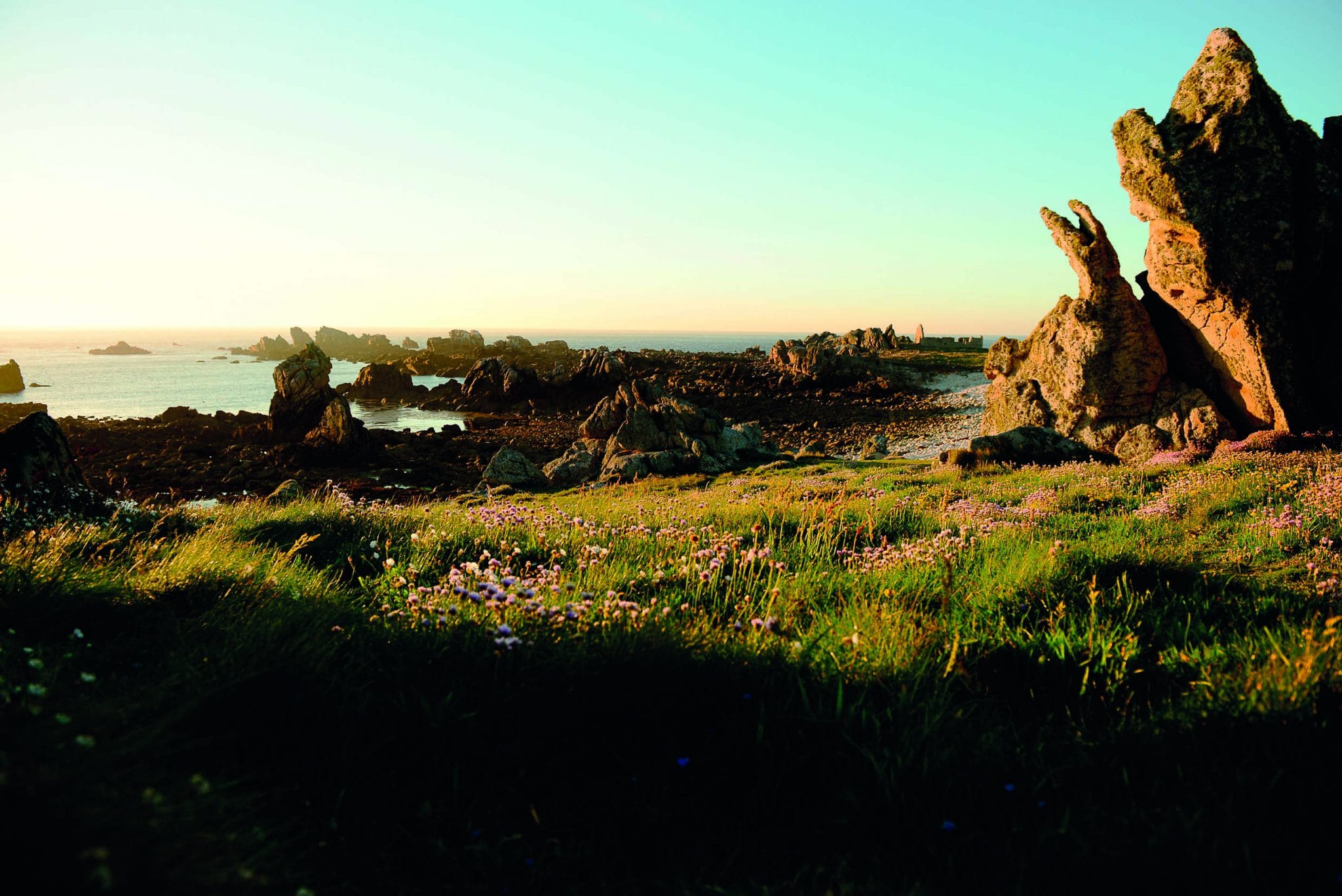 WORLD BEE DAY: Guerlain "For Bees Conservation Programme" - THE Stylemate