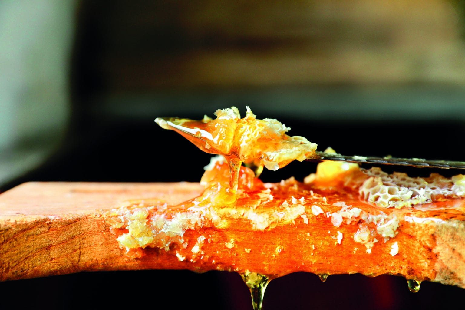 WORLD BEE DAY: Guerlain "For Bees Conservation Programme" - THE Stylemate