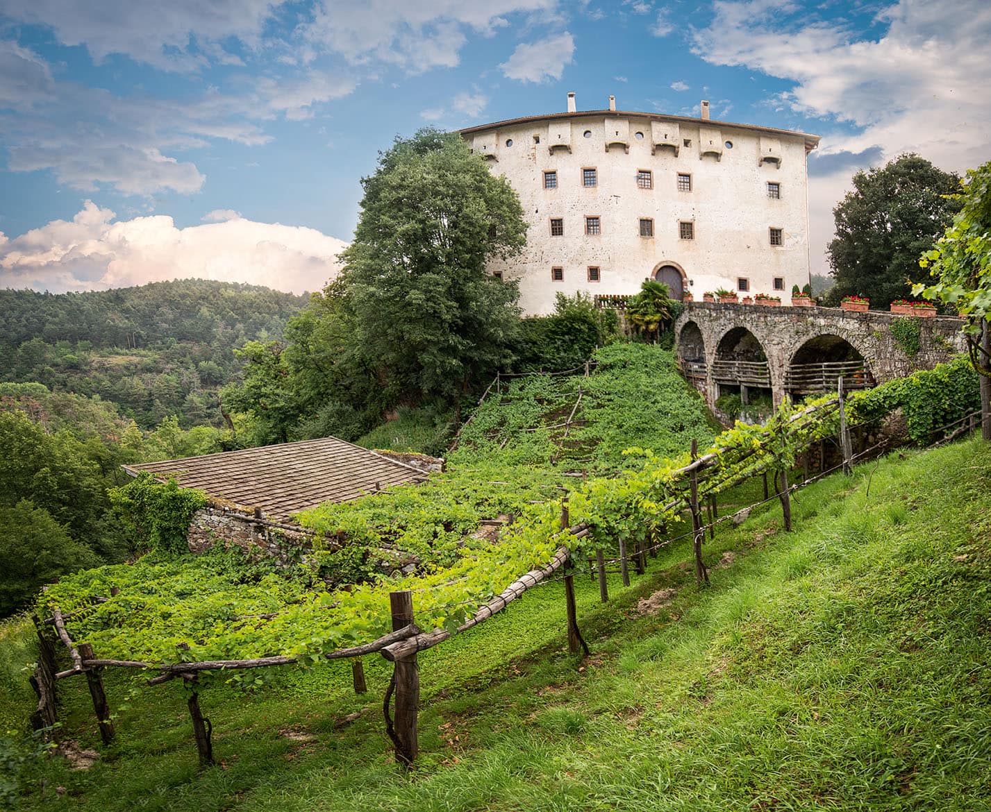 Falstaff Wine Guide Italy 2023 - THE Stylemate