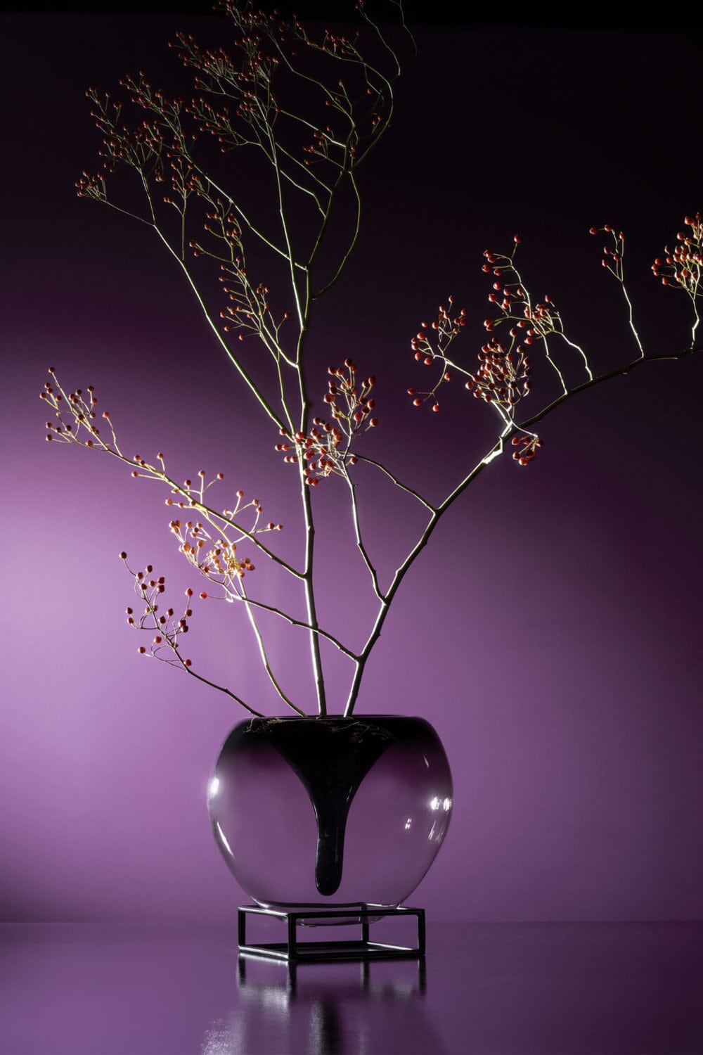 COSMOS: Design from here and beyond - THE Stylemate