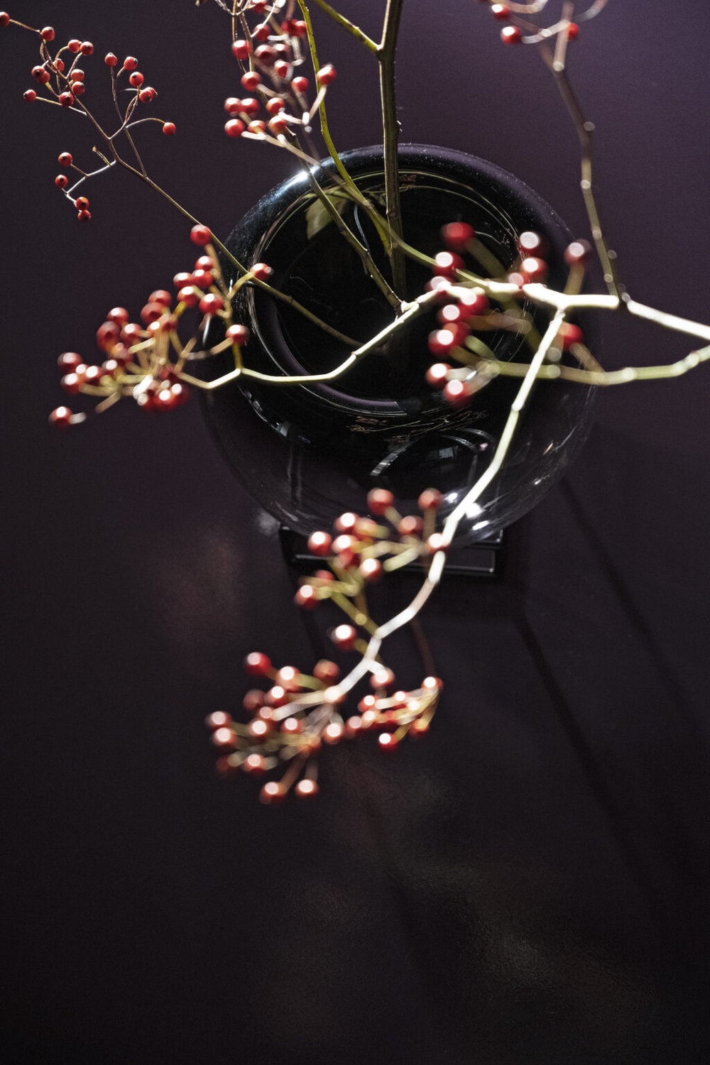 COSMOS: Design from here and beyond - THE Stylemate