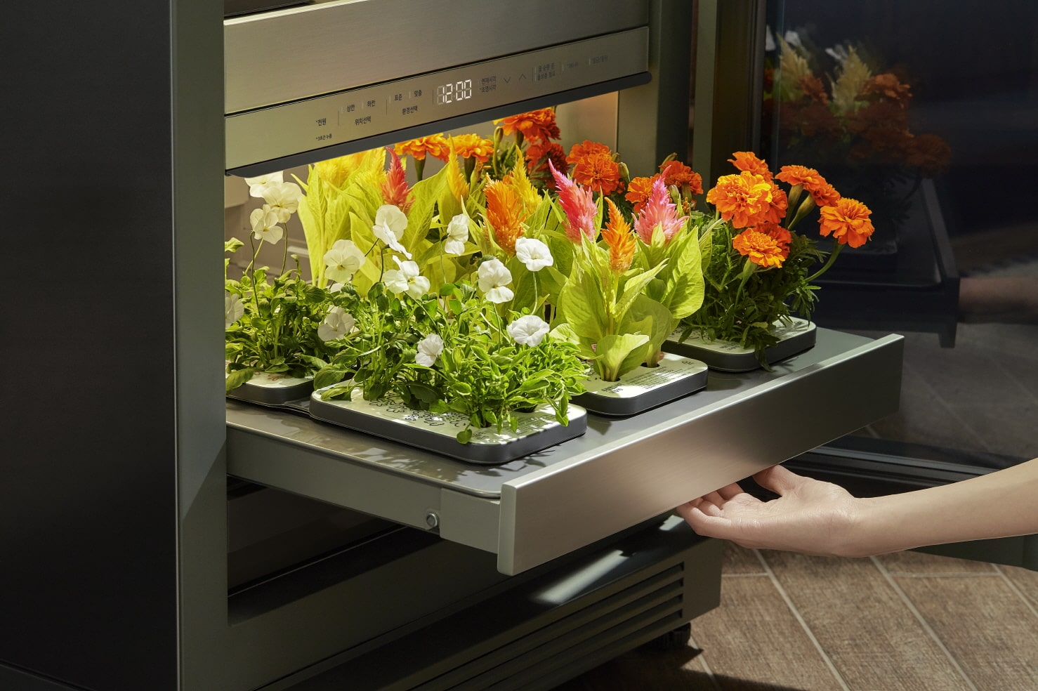 LG indoor garden tiiun: healthier and greener home - THE Stylemate