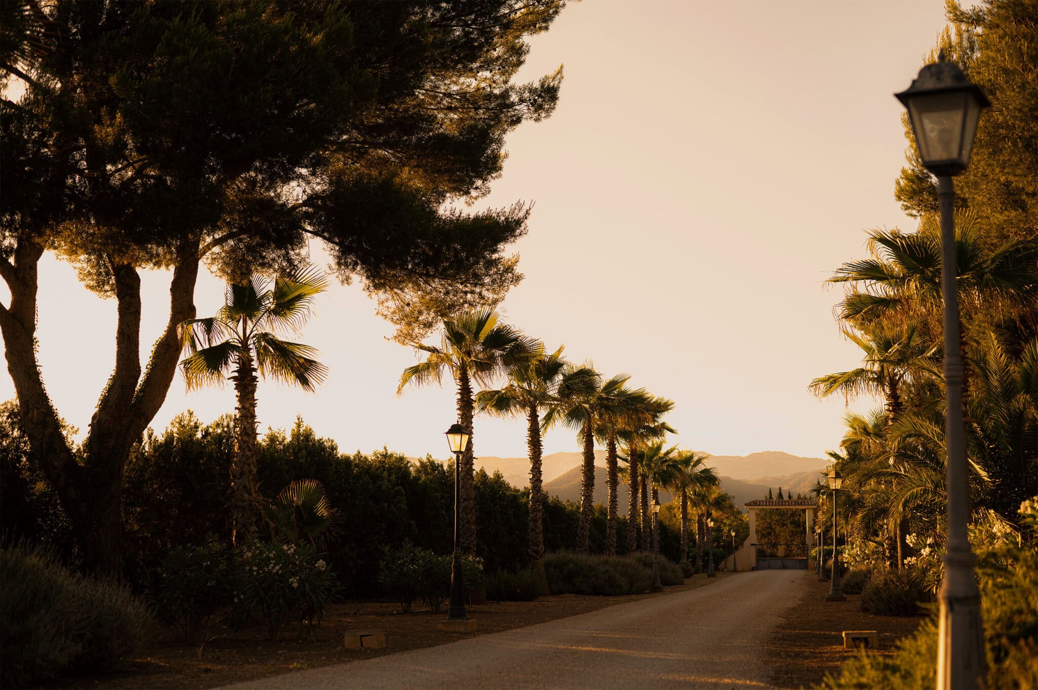 New address on Mallorca: farm-to-table dining concept ‘La Farm’ opened ...