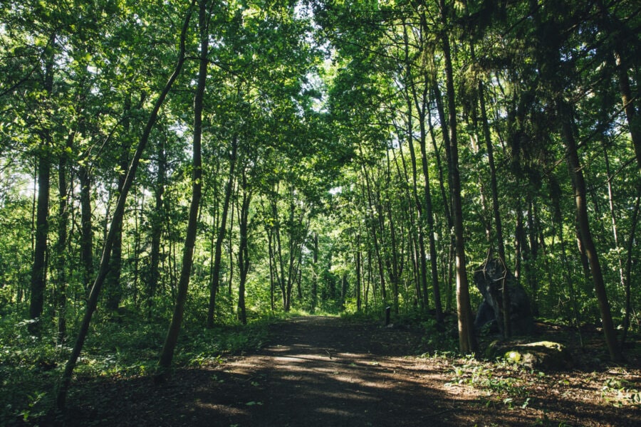 Viita workstations in Lahti, Finland: remote work in nature - THE Stylemate