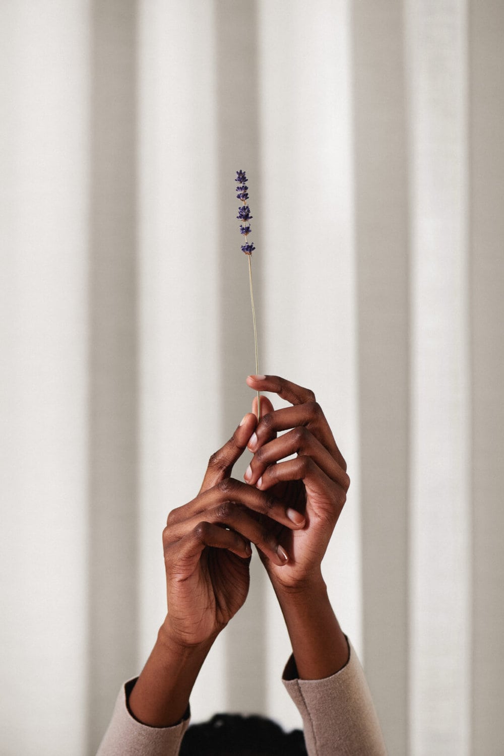 World Wide Things Collection: Get comfy at home. - THE Stylemate