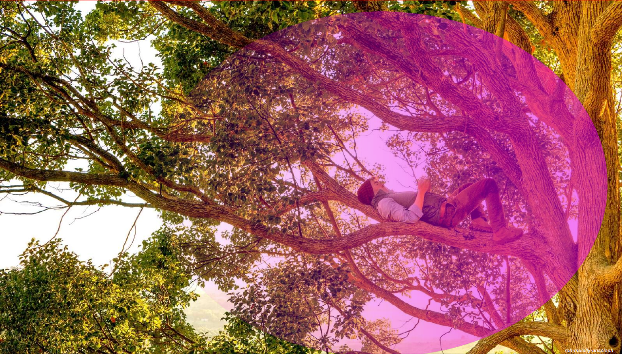 Marco Nieri: The Science and Soul of Nature’s Healing Power - THE Stylemate