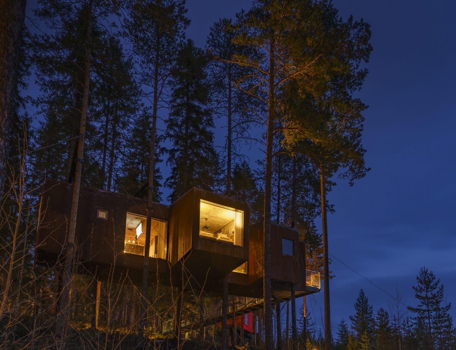 Treehotel, Schweden: eine Erfolgsgeschichte - THE Stylemate