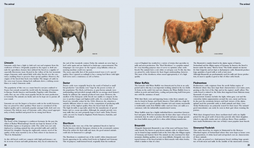 CRAFTED MEAT by Die Gestalten Verlag - THE Stylemate