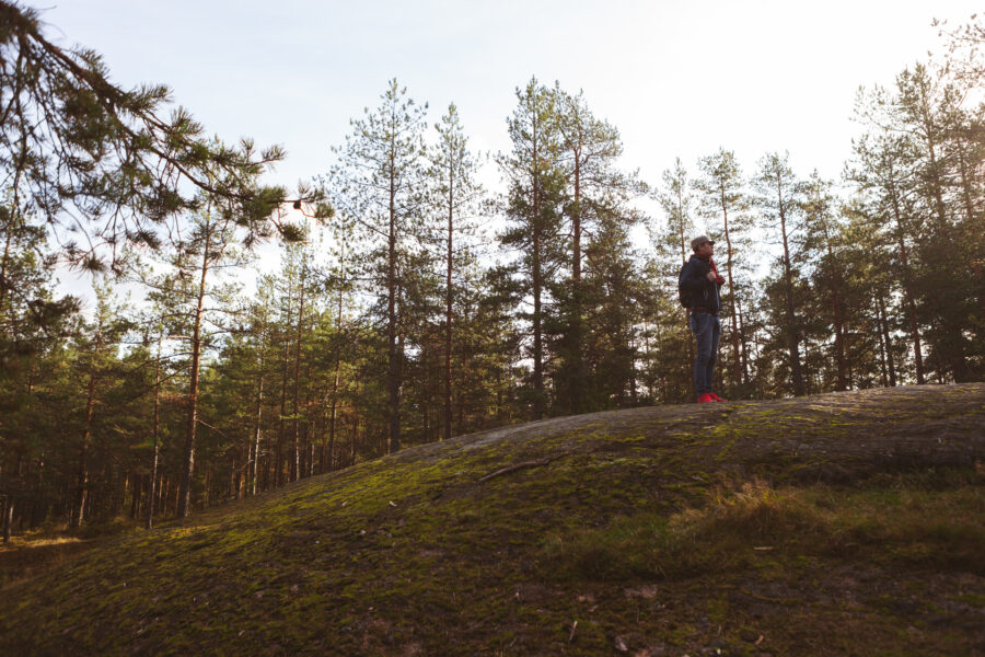 Viita workstations in Lahti, Finland: remote work in nature - THE Stylemate