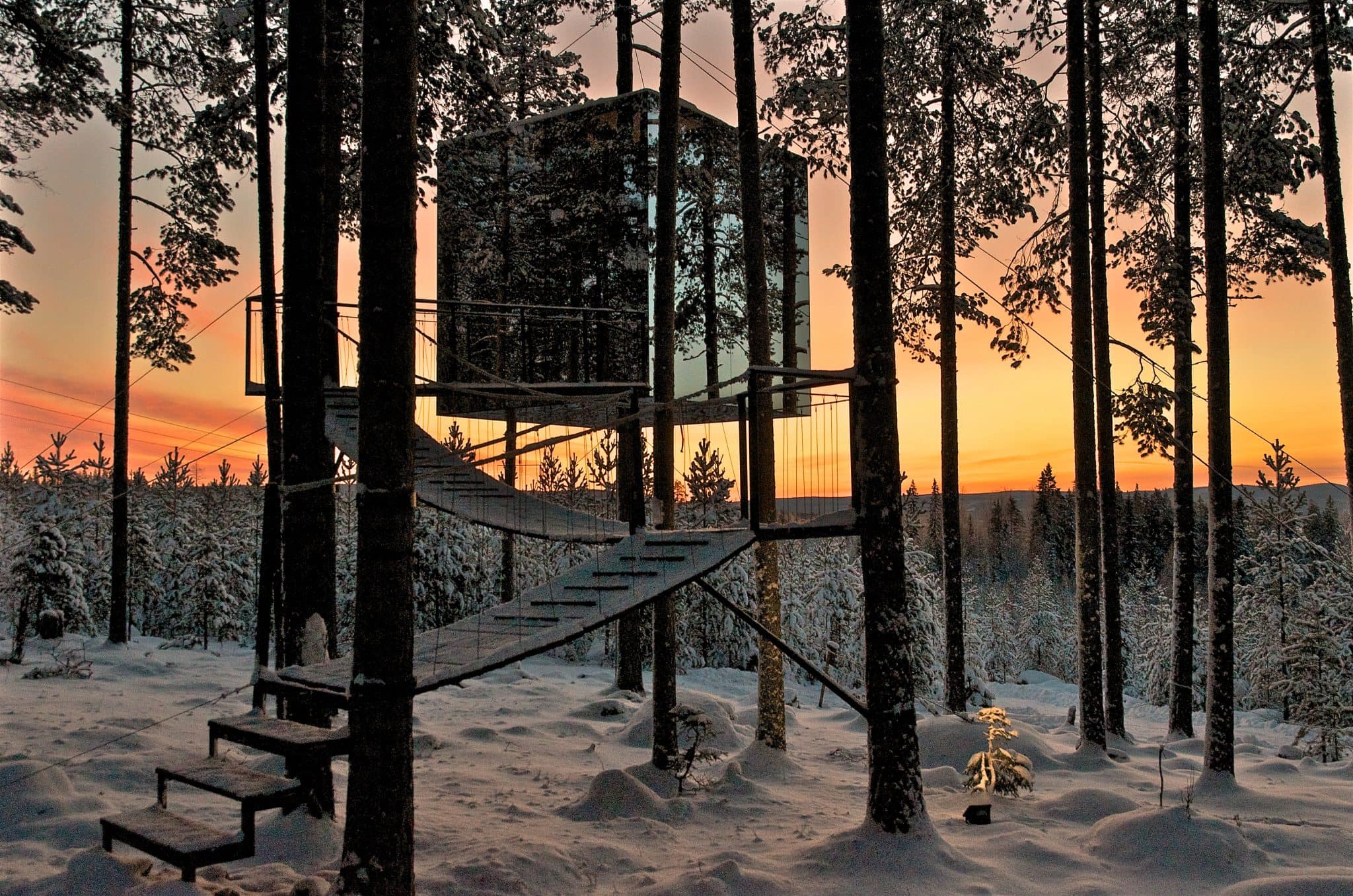 Treehotel, Schweden: eine Erfolgsgeschichte - THE Stylemate